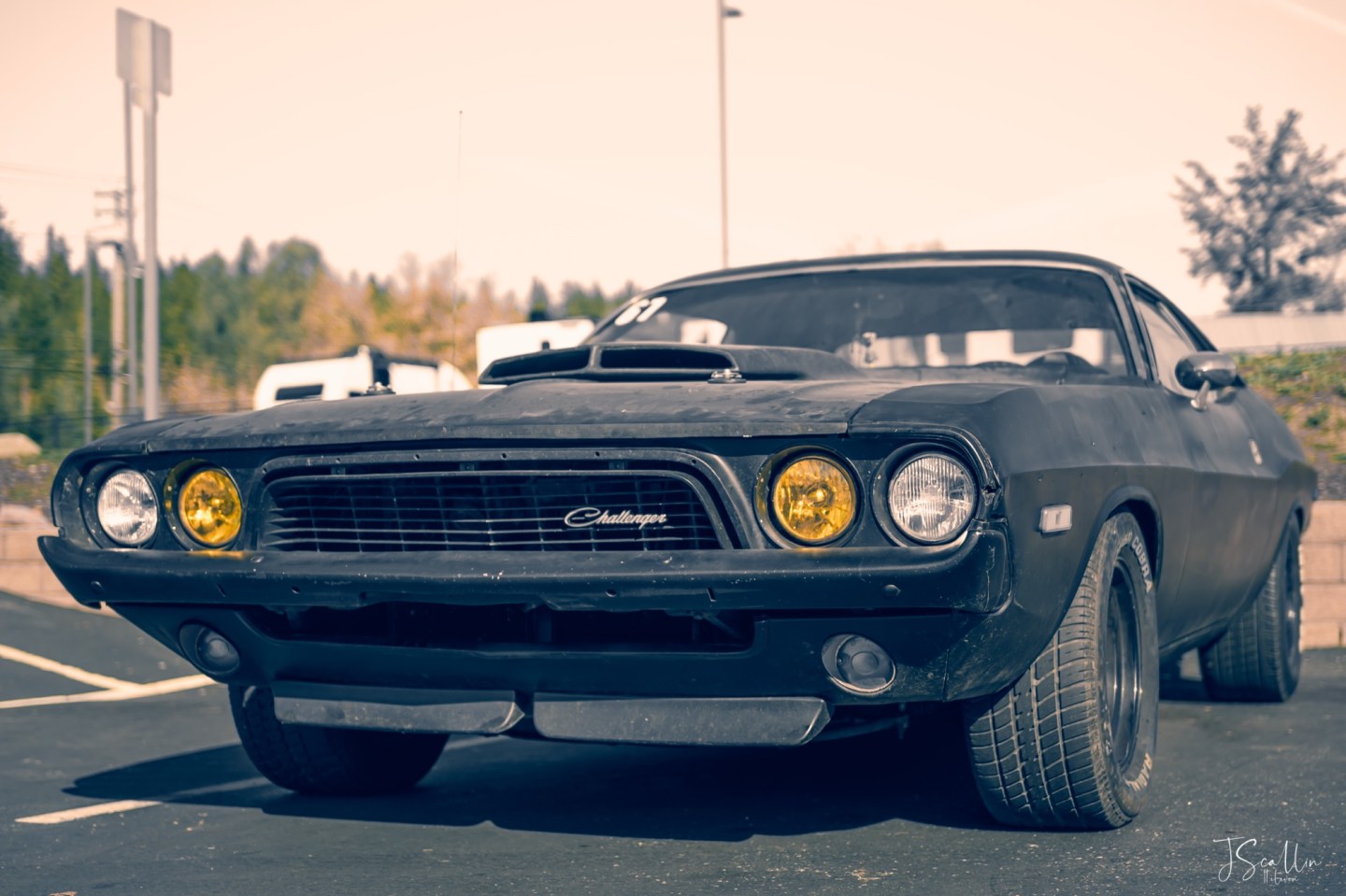 Wild Muscle – 11:eleven Photography
